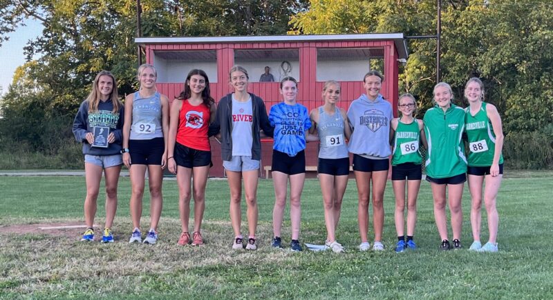 Shamrocks Thrive At MOVL Cross Country Championships | News, Sports ...